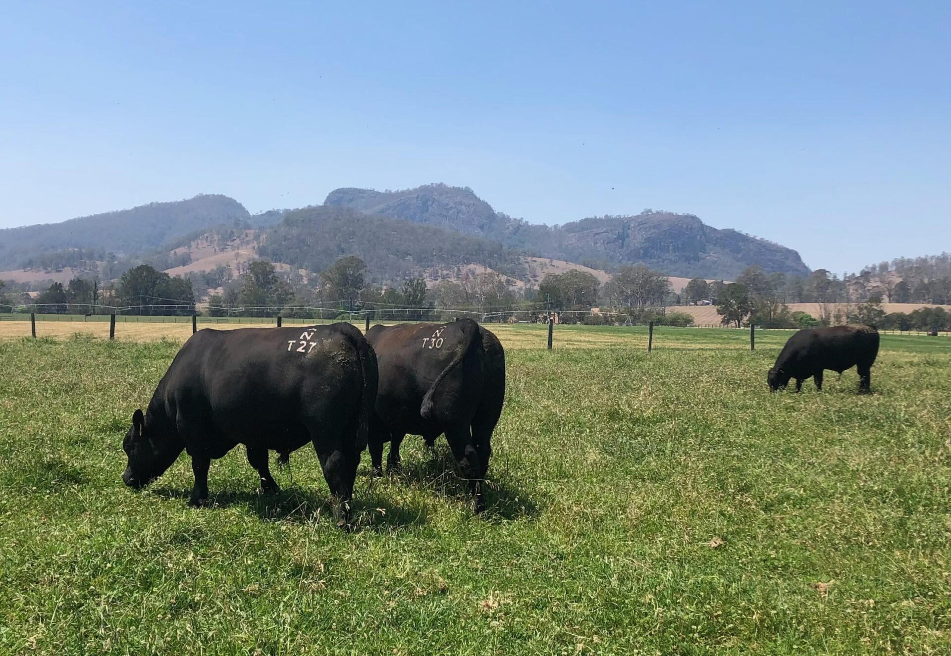 Hedging in Agriculture: Why and When to Hedge - LA Agfin